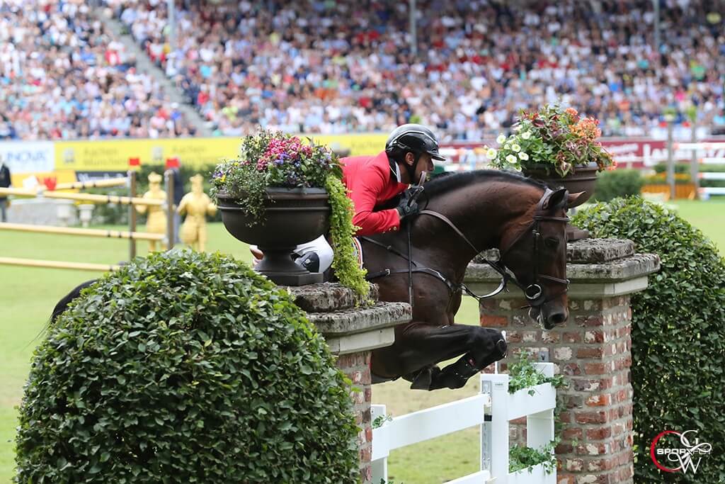 Haras de Hus | Showjumping and dressage horse breeder, competitions ...